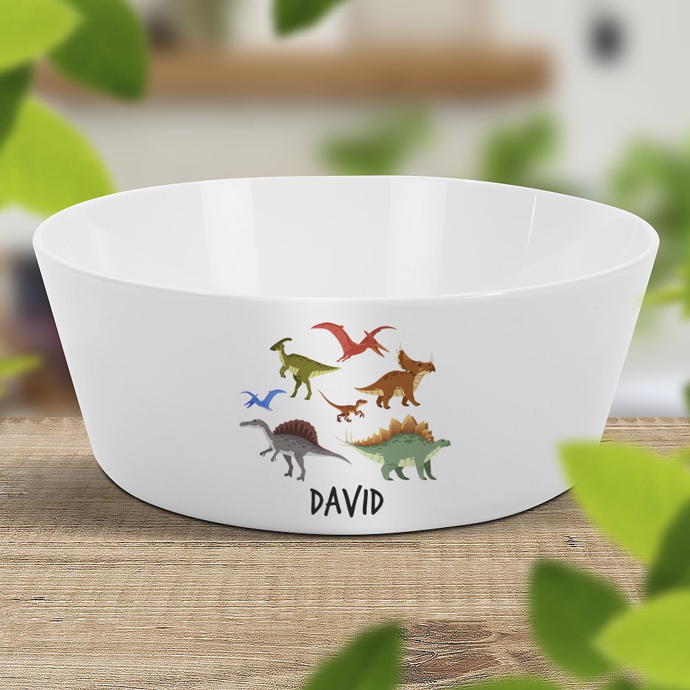 Dinosaur Kids' Bowl – Officeworks Photos