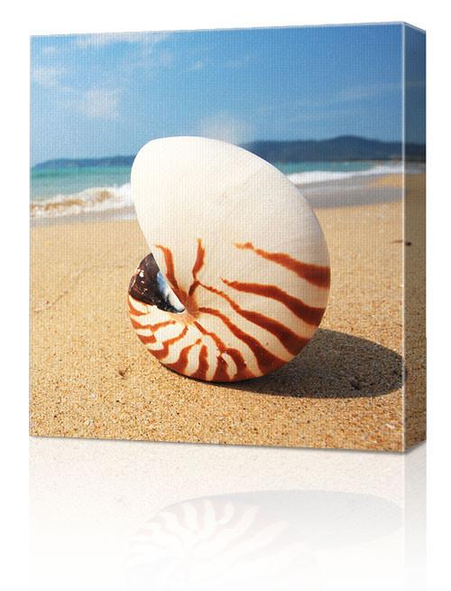 Canvas Prints – Officeworks Photos